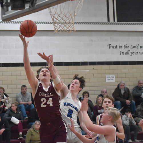 Wilfahrt sets career scoring record for Cathedral | News, Sports, Jobs ...